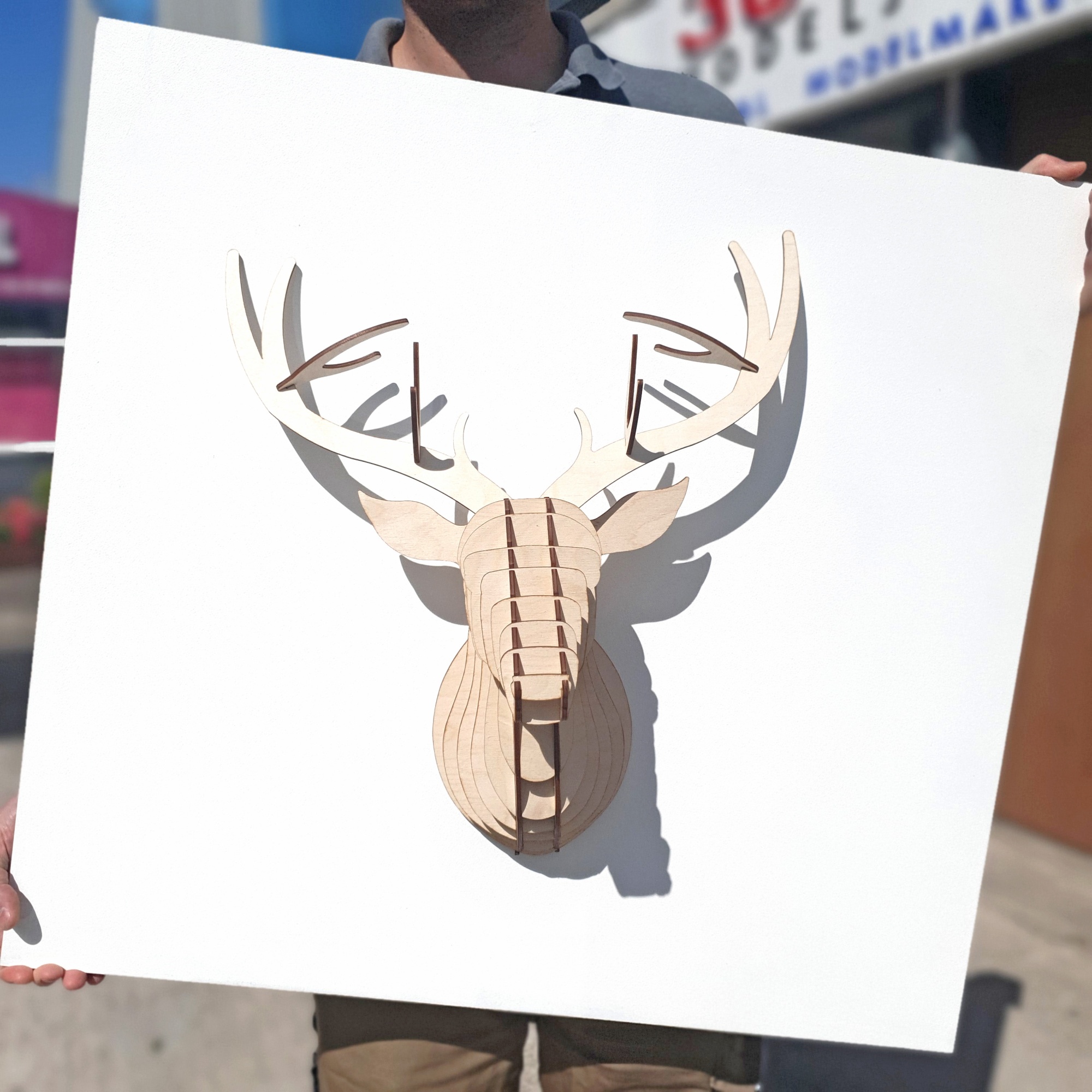 3D Stag Head Wall Art | DIY Slot-Together Plywood Décor 360 Lasers
